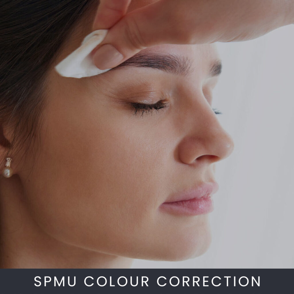 Semi Permanent Make-Up Brow Colour Correction Course Online (SPMU ...